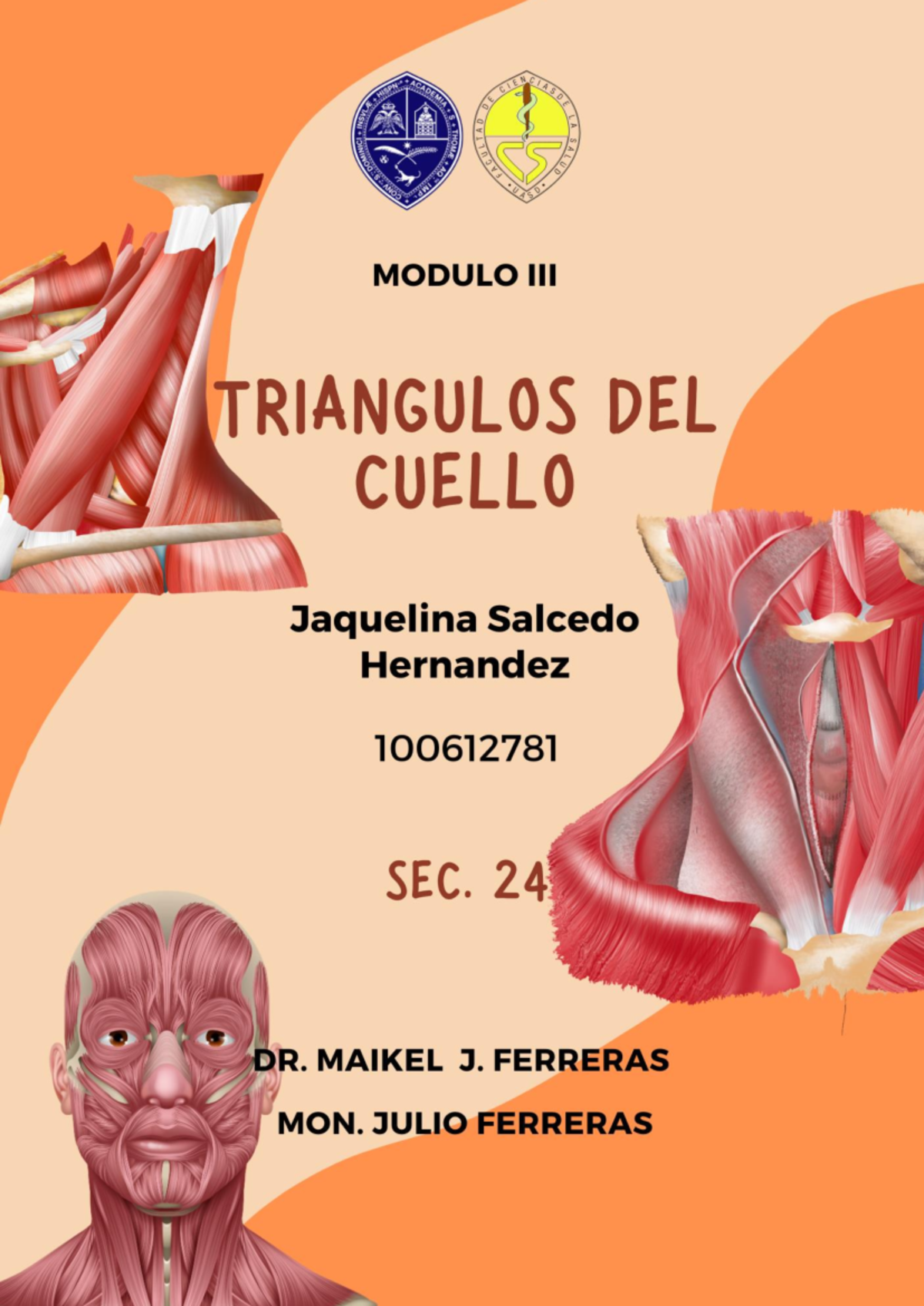 Triangulos DEL Cuello - REGION ANTERIOR El triángulo anterior se subdivide a su vez en un ...