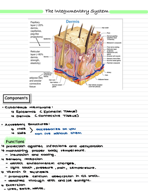 Anatomy 5 - pre lab assignment for a&p1 - BIOL 1110K - Studocu