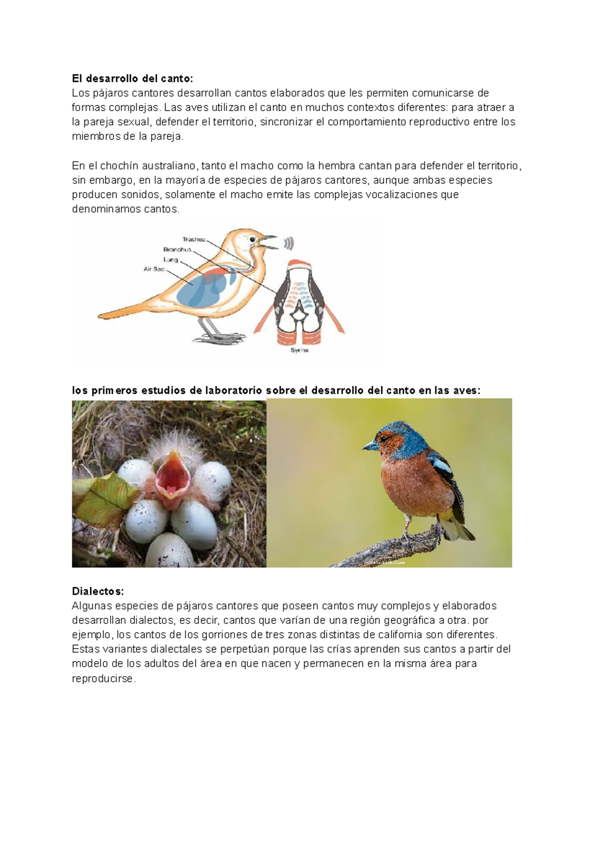 Documento sin título - canto en las aves - El desarrollo del canto: Los ...