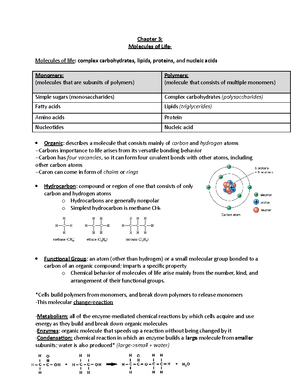 Lab 5 the structure and function of cells - BIO 101 - Studocu