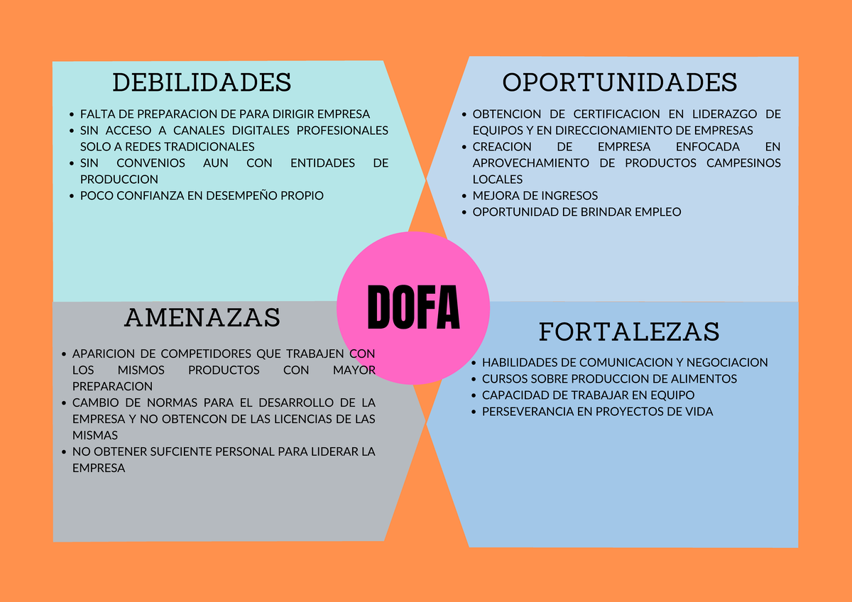 DOFA y plan de accion para emprendimiento - DEBILIDADES FORTALEZAS ...