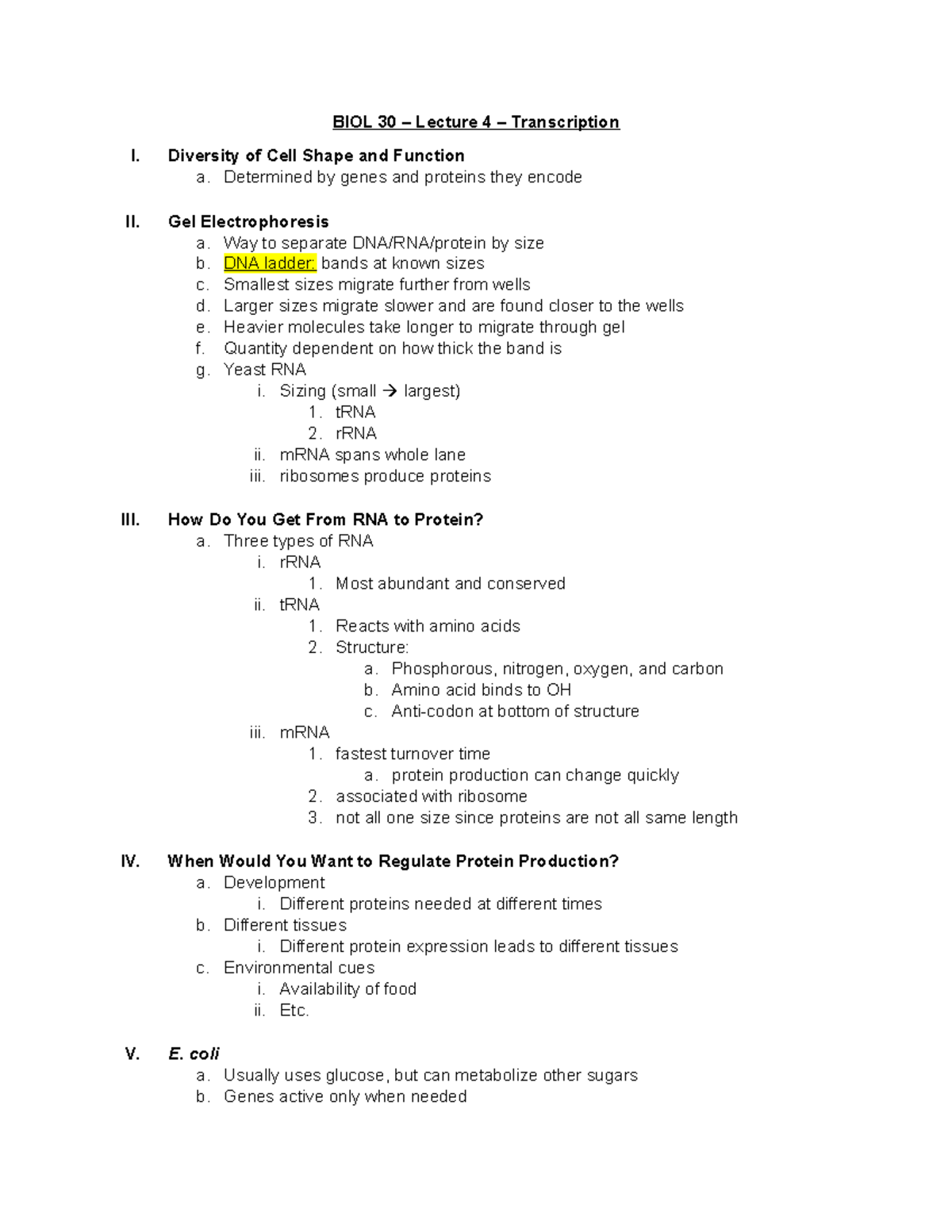 BIOL 30 - Lecture 4 - Transcription - Diversity of Cell Shape and ...