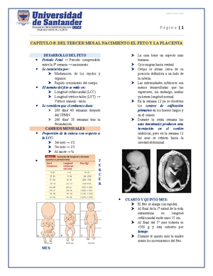Origen embriológico del Sistema Nervioso sem 1 - NEUROECTODERMO ...