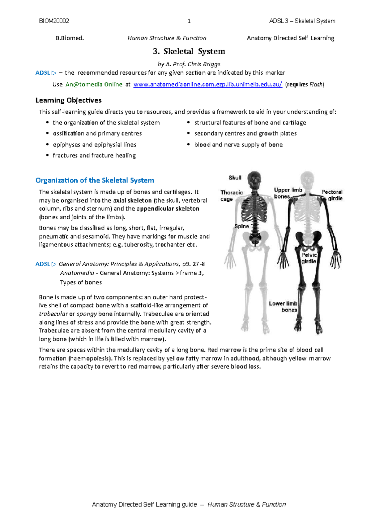 ADSL3 Skeletal-Articular Worksheet - BIOM20002 1 ADSL 3 – Skeletal ...
