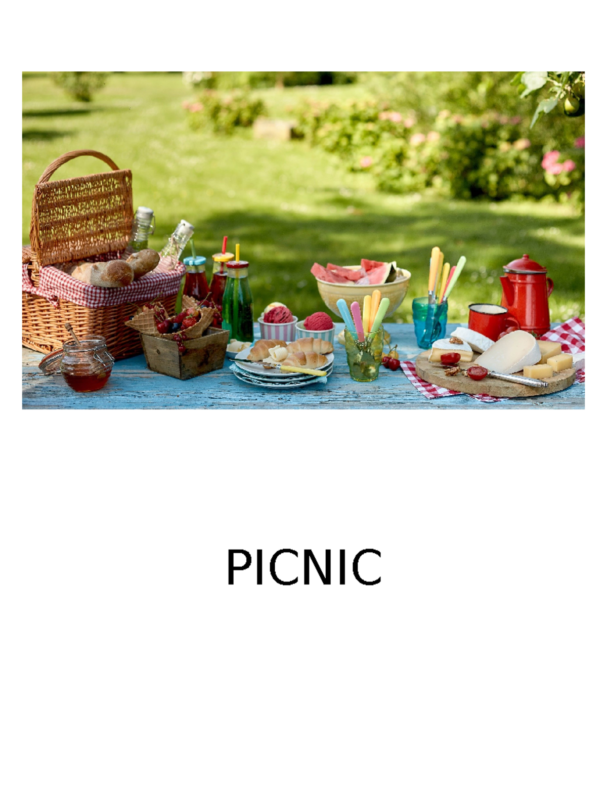 Picnic - Resumen Pedagogía, materiales didácticos - PICNIC Introducción ...