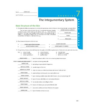 Ex 12 - Lab assignment - 191 Microscopic Anatomy and Organization of ...