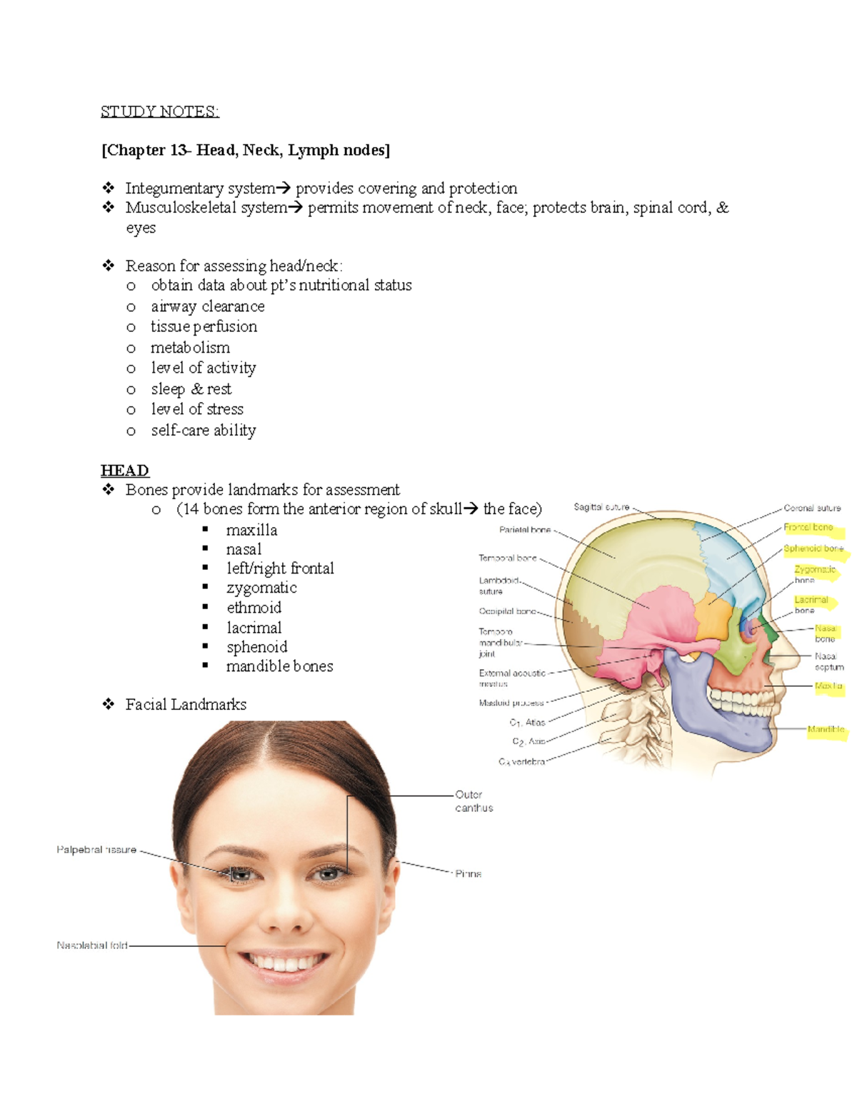 Physical Assessment Week 2 notes - STUDY NOTES: [Chapter 13- Head, Neck ...