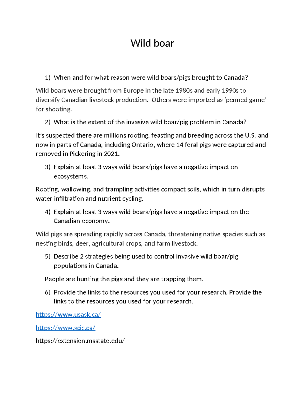 Wild boar - GK PKp okOPEKGPO JIOJGIORIGJIRJ IGJRI JGIR JIGJRIOJGIRG ...