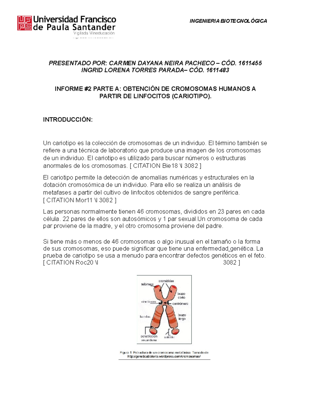 Informe 2-C3- Biologia Molecular - PRESENTADO POR: CARMEN DAYANA NEIRA ...