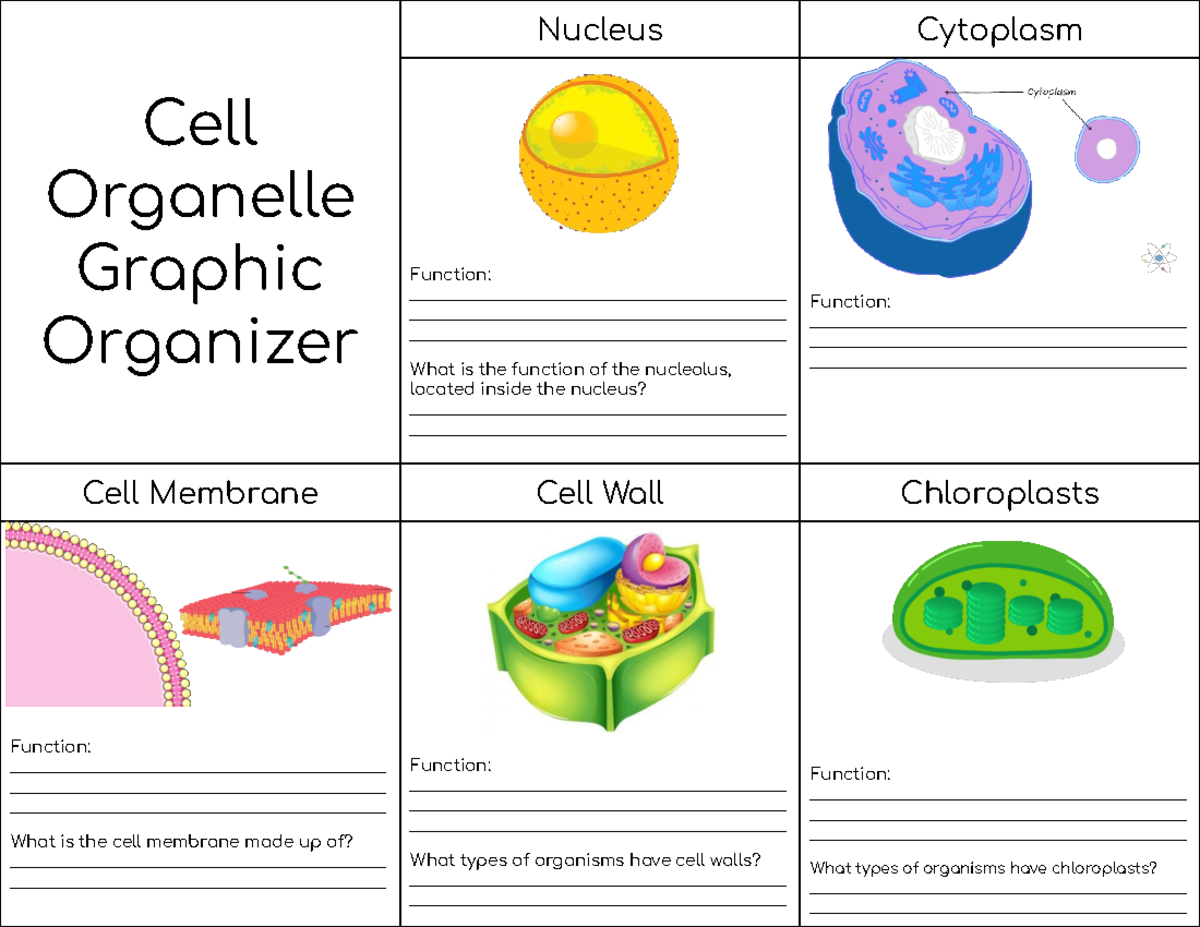 Cell Organelle Notes - ........... - Cell Organelle Graphic Organizer ...