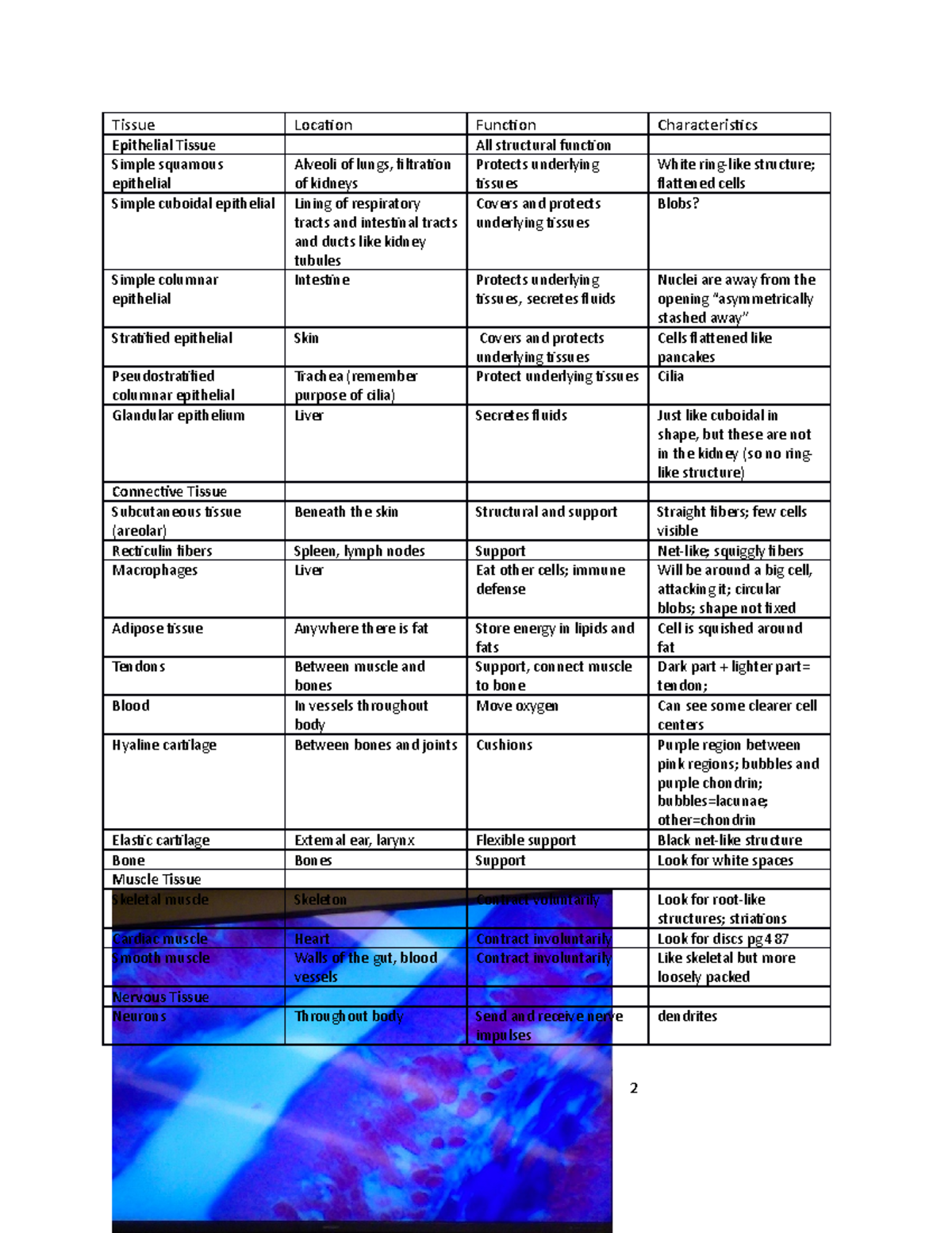 Summary Biology Laboratory Manual - vertebrate tissues chapter - Tissue ...