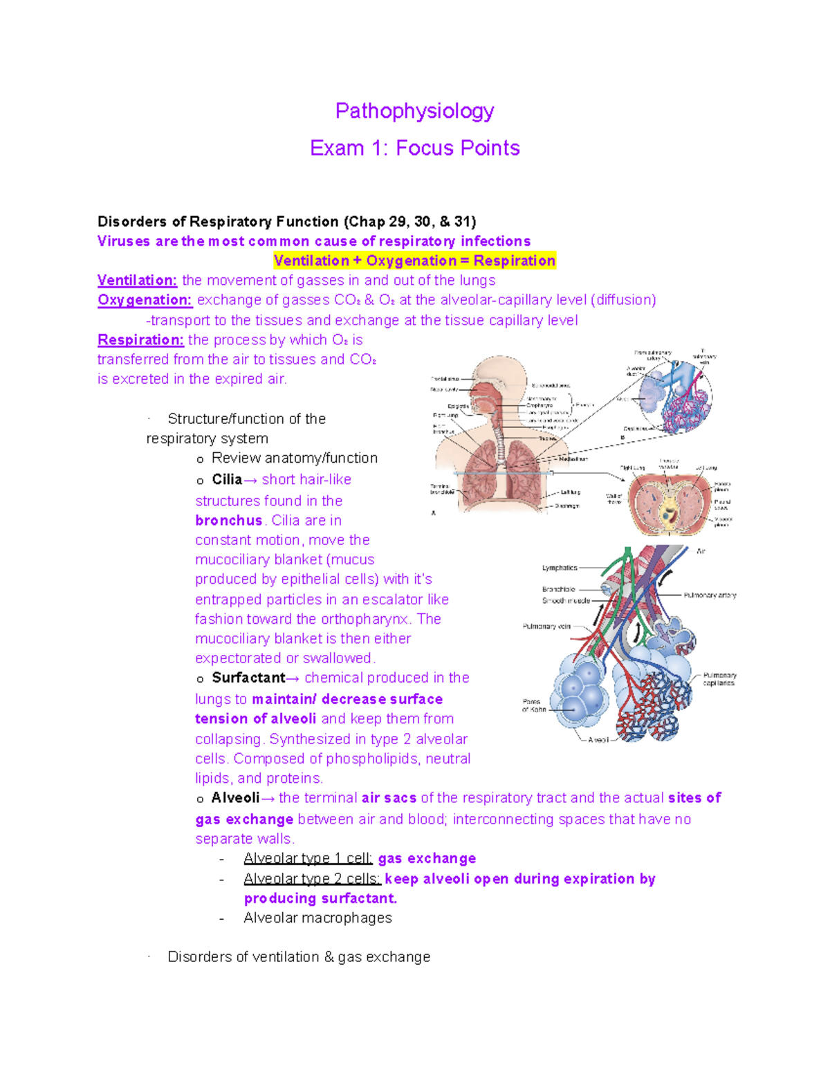 Exam 1 Focus Points - Summary Essentials Of Pathophysiology - Pathophysiology Exam 1: Focus ...