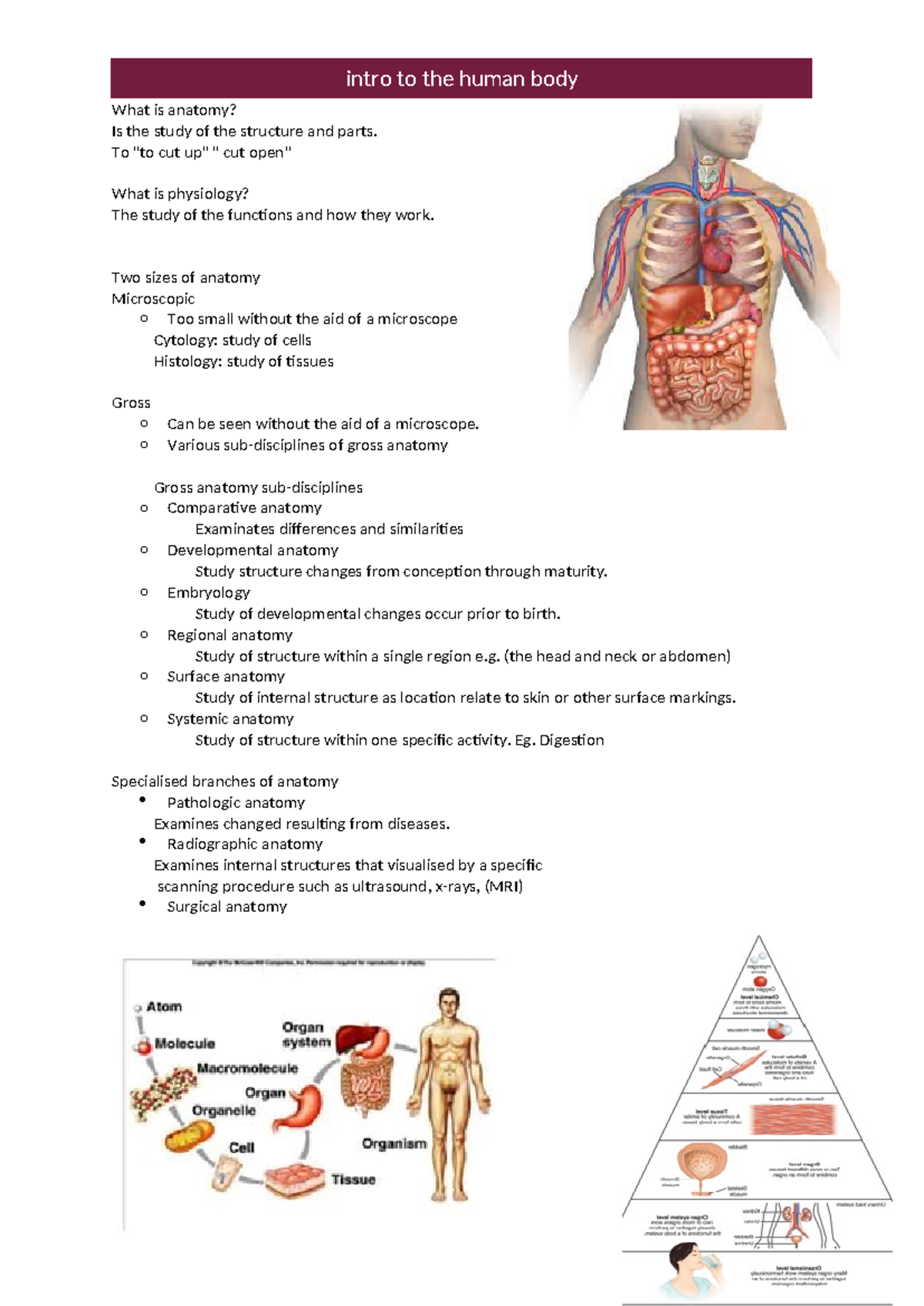 Introduction to the human body plan - What is anatomy? Is the study of ...