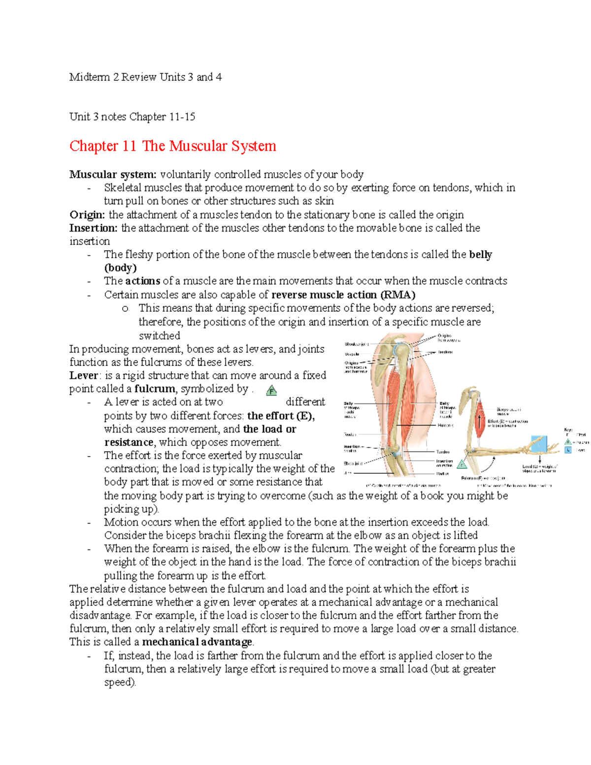 Midterm 2 Review Units 3 and 4 - Midterm 2 Review Units 3 and 4 Unit 3 ...