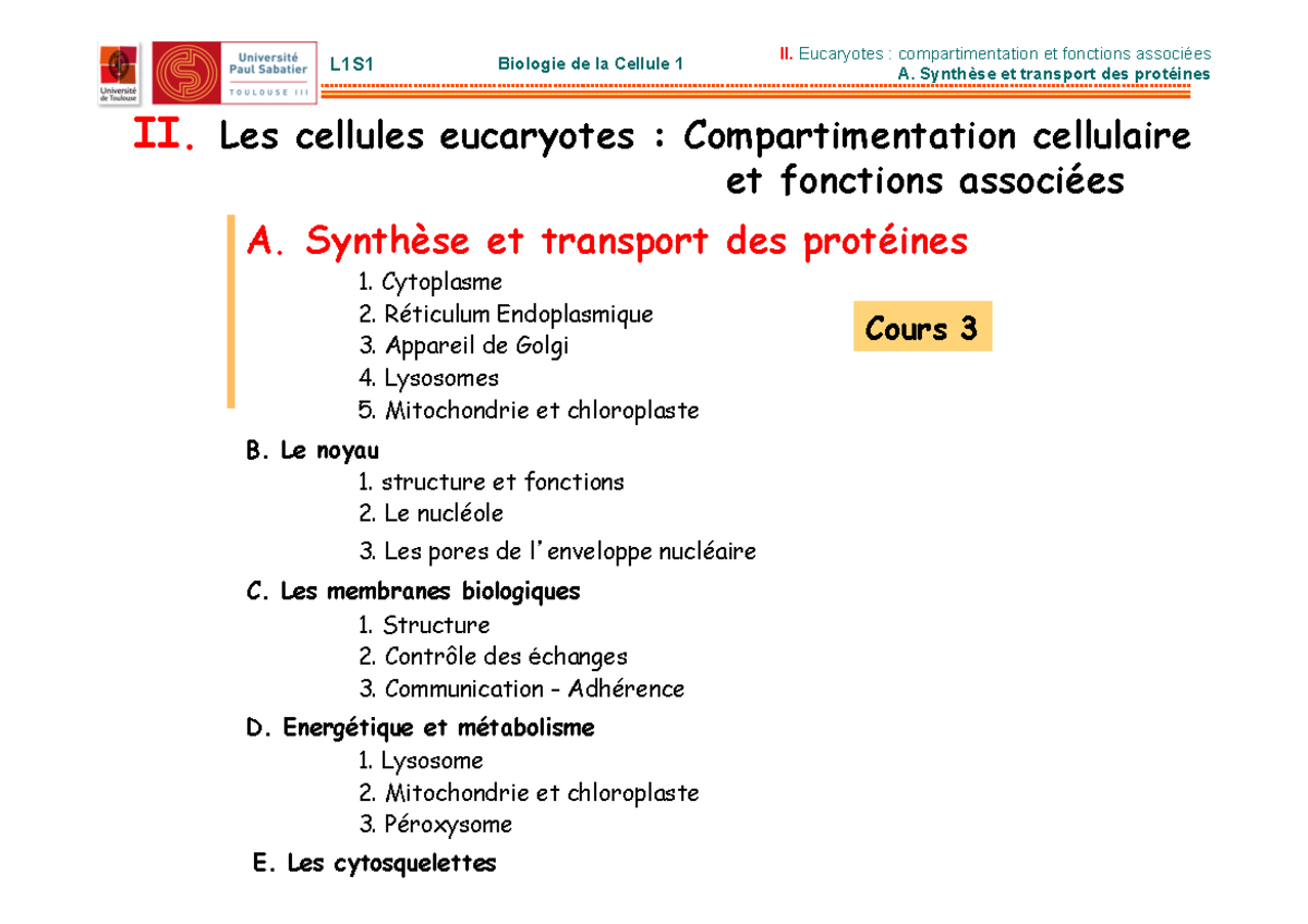 Cours n°3 - Cours 3 II. Les cellules eucaryotes : Compartimentation ...