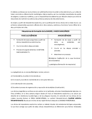 Rakotz Medical Students and Measuring BP Rakotz et al-2017-The Journal ...