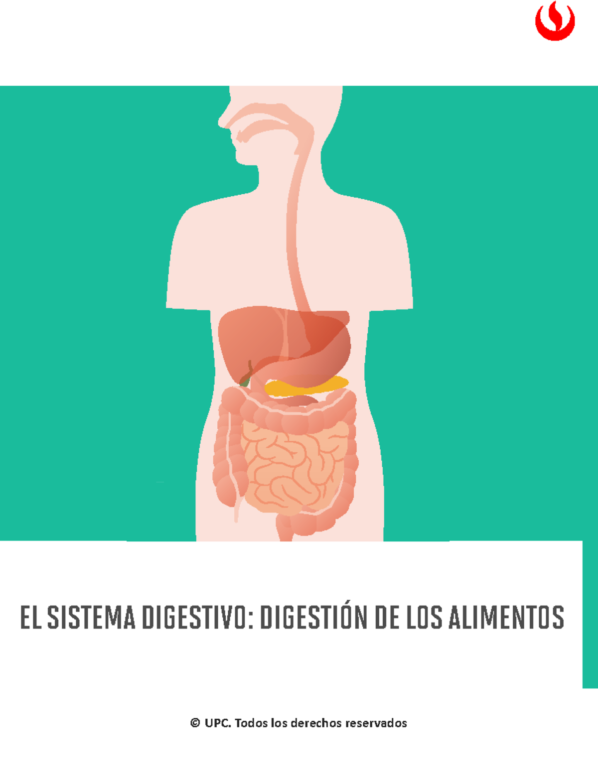 ME129 Semana 11 Sistema digestivo digestion de los alimentos V2 ...
