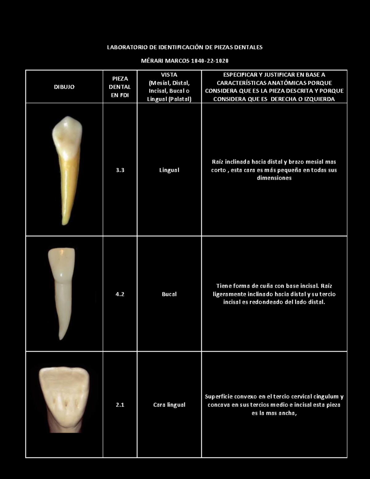 Laboratorio DE Identificación DE Piezas Dentales - LABORATORIO DE ...