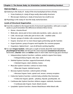 Digestive System Study Guide - 14? For each structure/organ of the ...