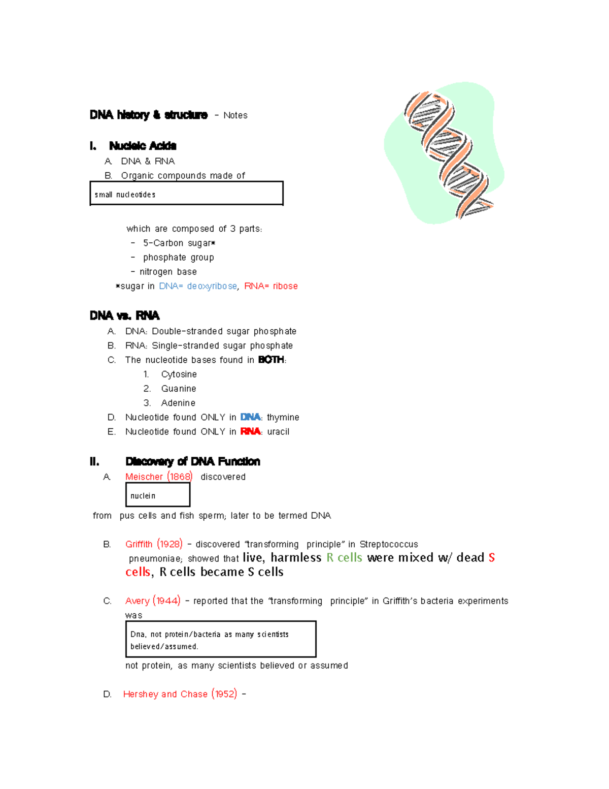 Chloe Slomeana - Notes DNA-structure and history, student - DNA history ...