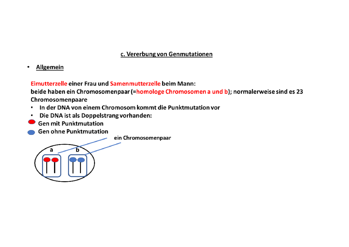 Genmutationen-Vererbungsschema 5 - Bewegung und Sport - Biologie ...