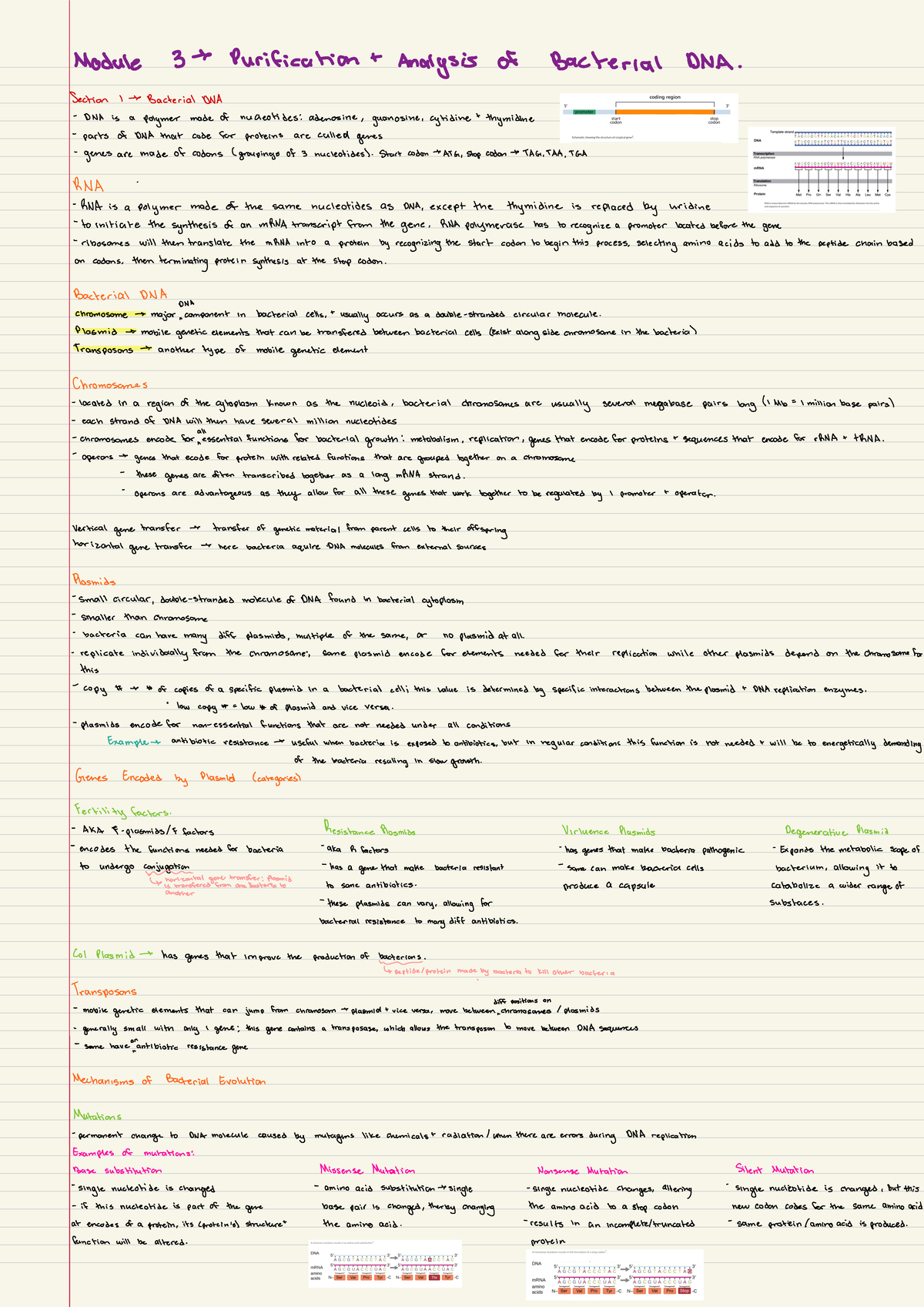 MICR 290 module 3 - ####### Module 3 Purification Analysis of Bacterial ...