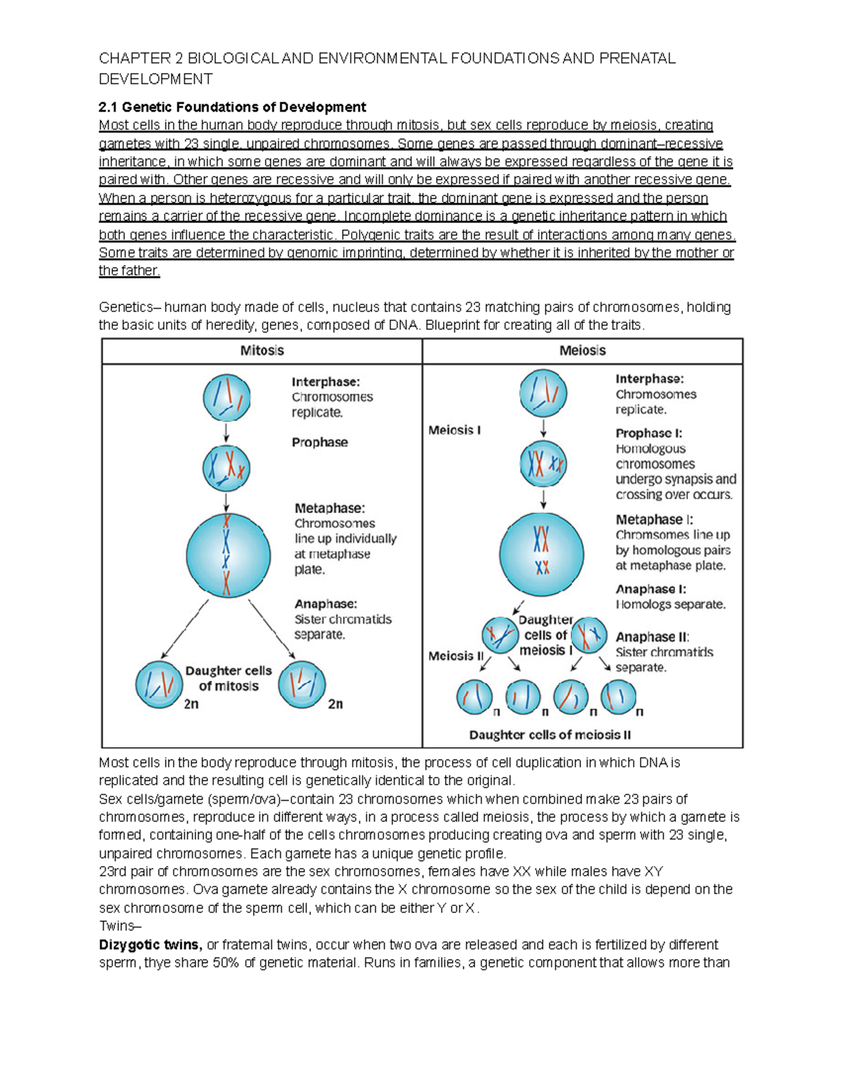 PSY 220 Chapter 2 - DEVELOPMENT 2 Genetic Foundations of Development ...