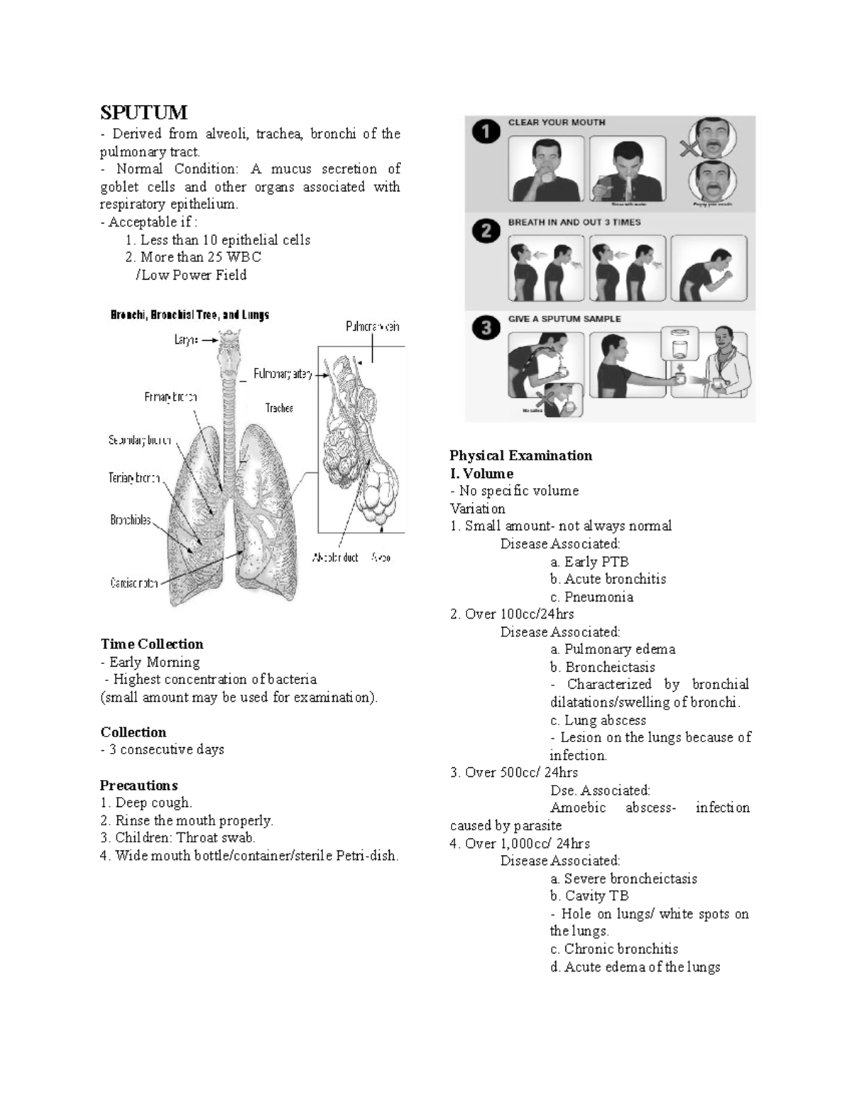 Sputum - SPUTUM Derived from alveoli, trachea, bronchi of the pulmonary ...