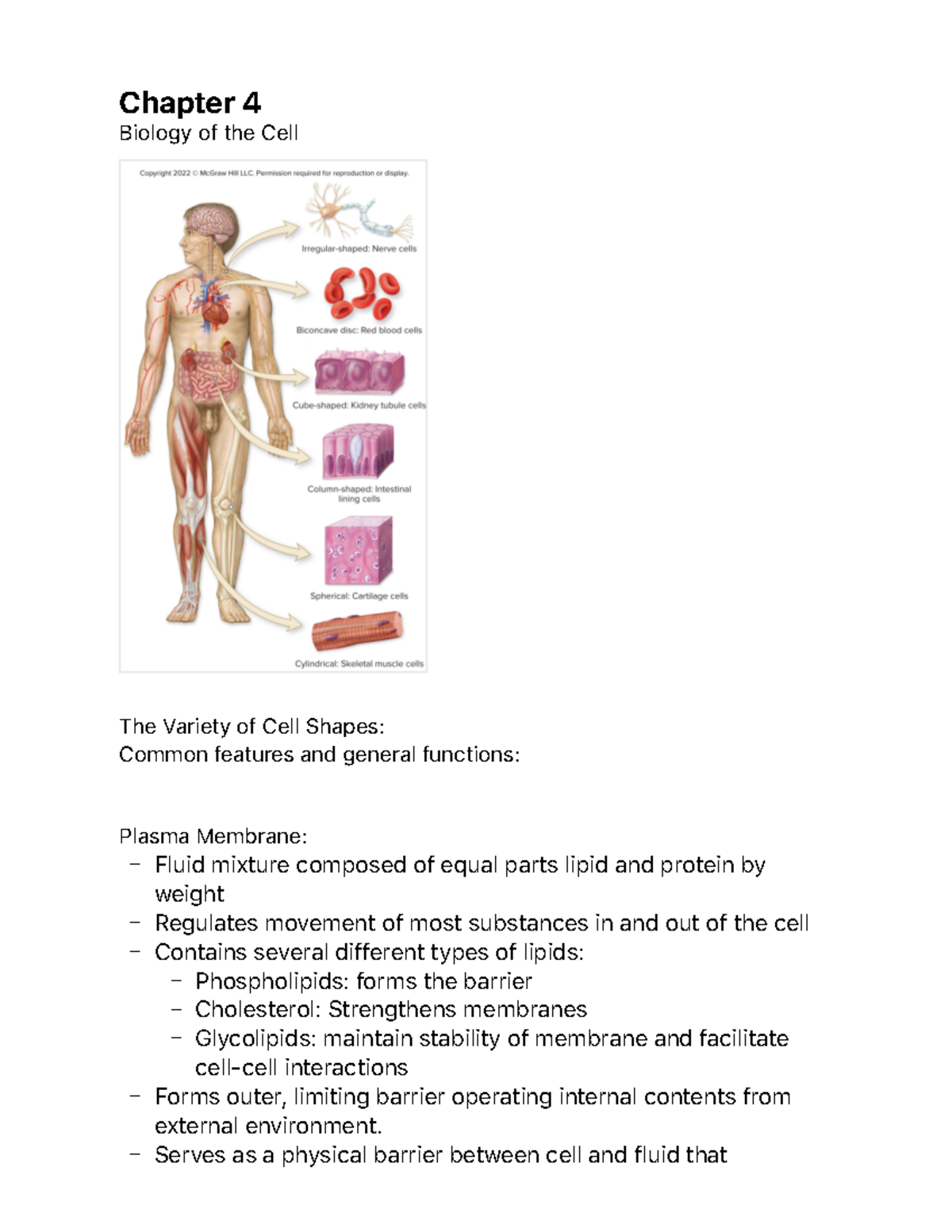 Chapter 4 - Biology of the Cell - – – – – – – – Chapter 4 Biology of the Cell The Variety of ...