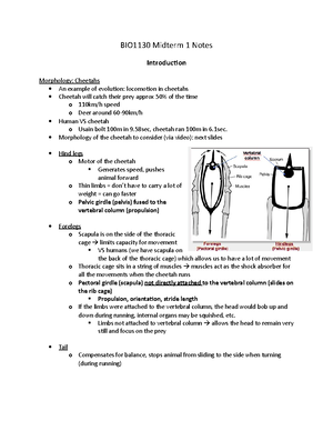 Gizmo- Homeostasis STEM Case Study - Homeostasis - STEM Case and ...