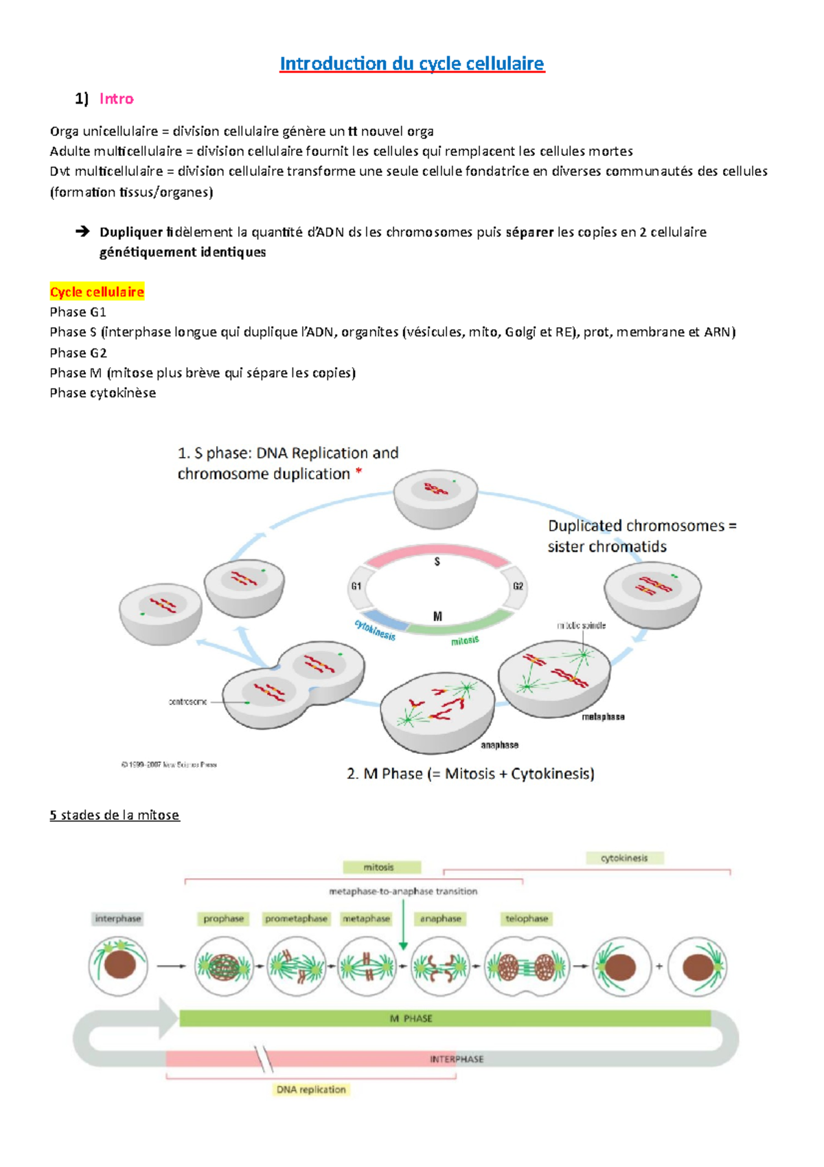 Cycle cellulaire - Introduction du cycle cellulaire 1) Intro Orga ...