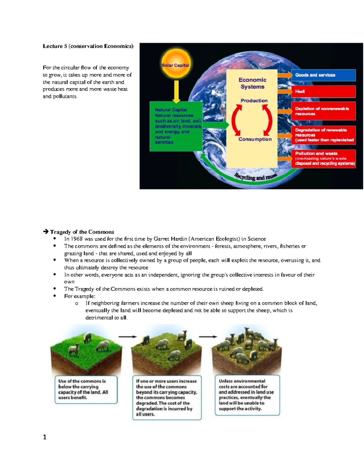 Lecture 5 (Conservation Economics) - For413H1 - U of T - Studocu