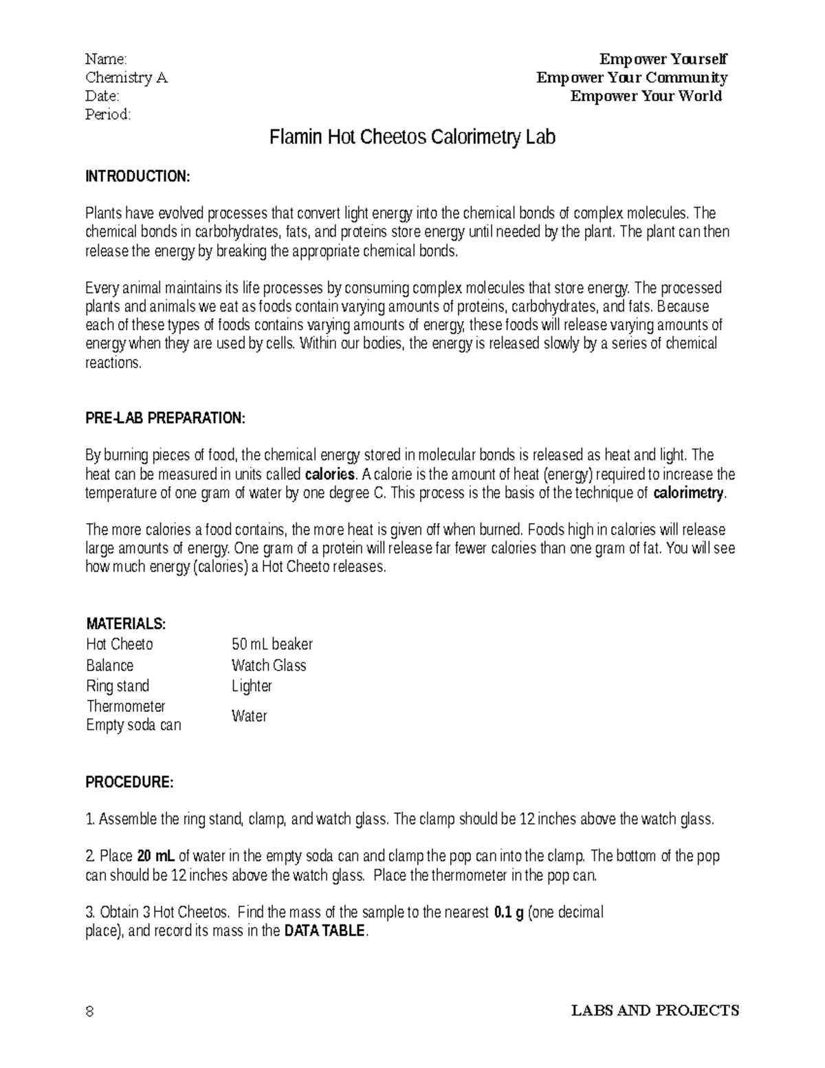 Calorimetry-and-cheetos-lab compress - Chemistry A Empower Your ...