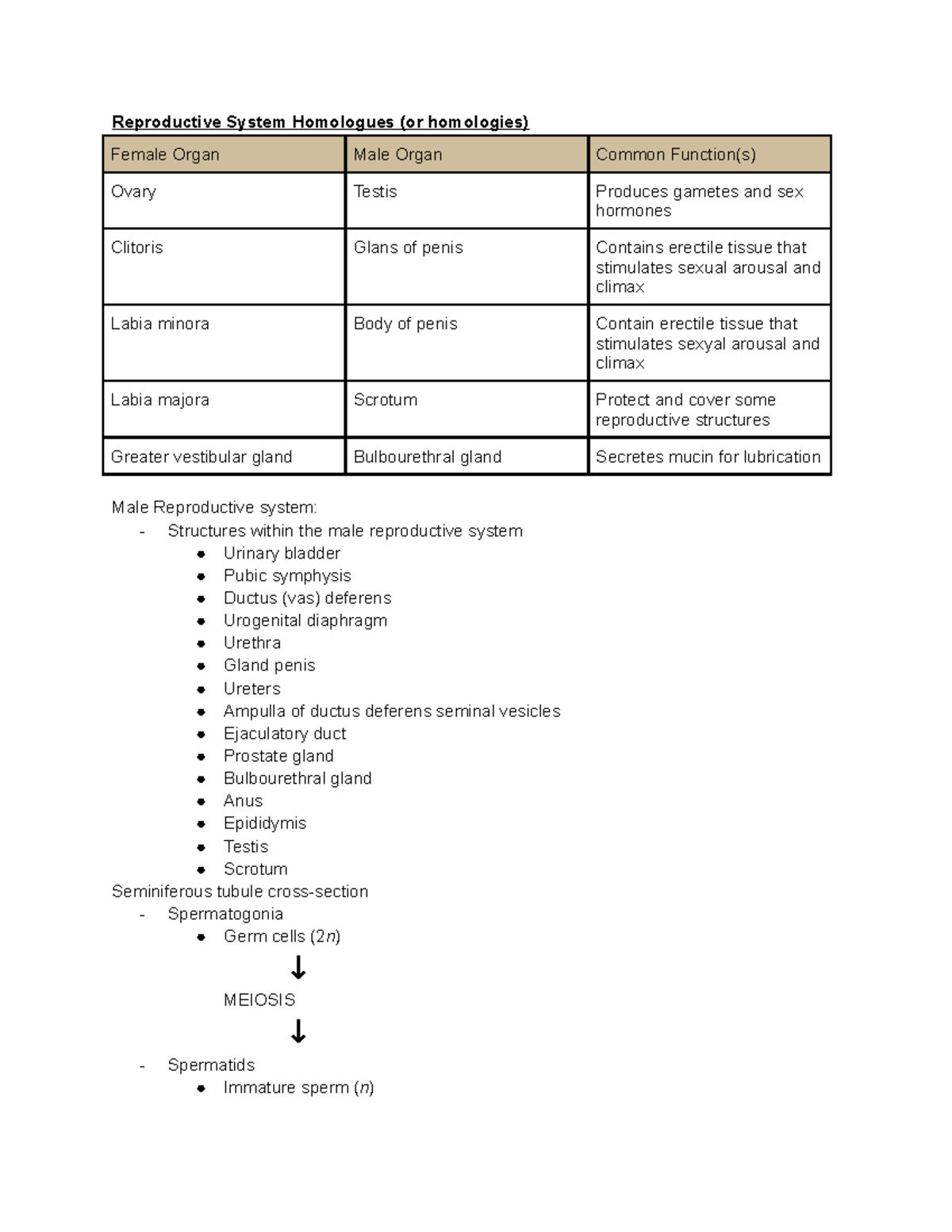 Reproductive system, part 1 & 2 - Reproductive System Homologues (or ...