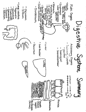 Answer Key Lab Microscopes and Cells - Lab 3: The Microscope and Cells ...
