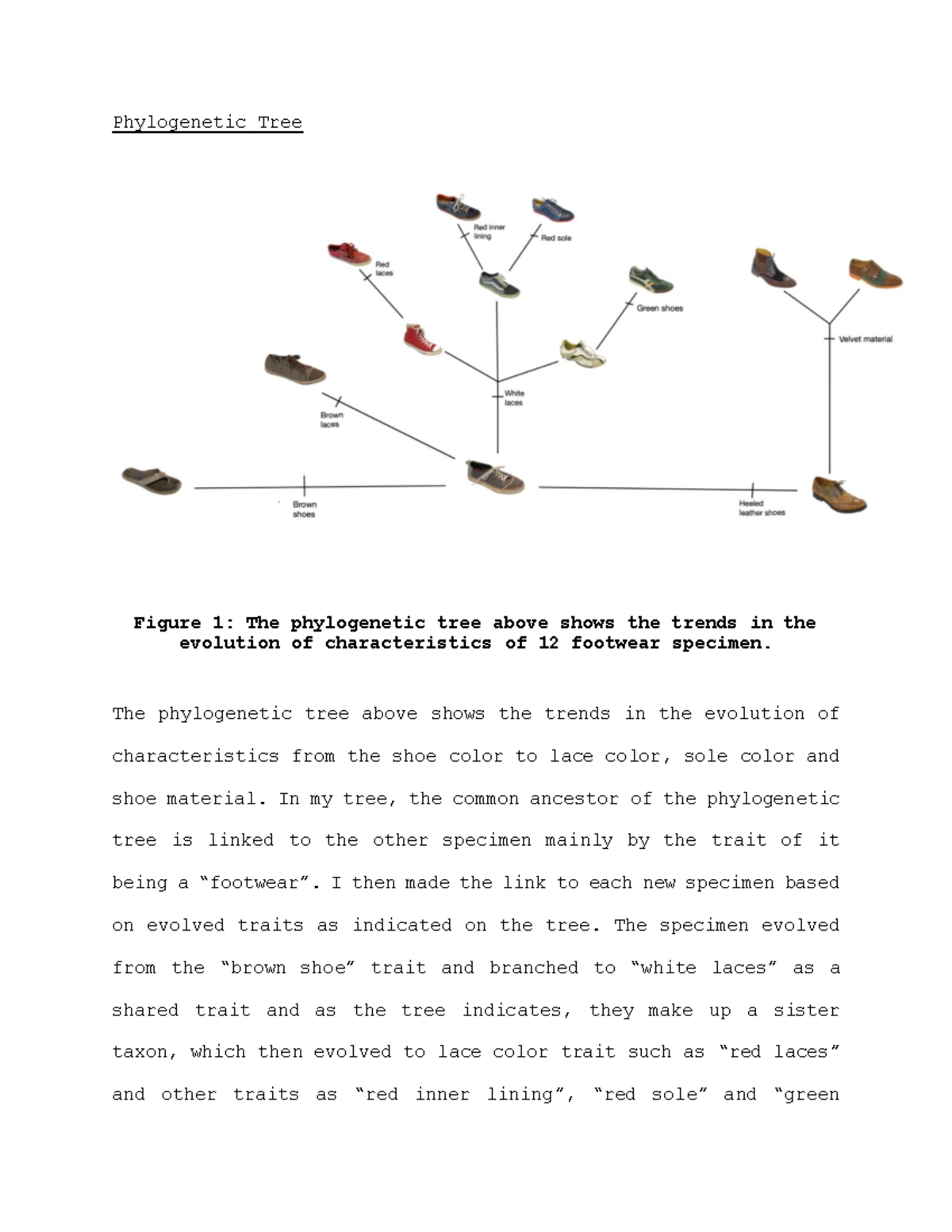 BIOL 1030 - Lab 1 Assignment - Phylogenetic tree - Phylogenetic Tree ...