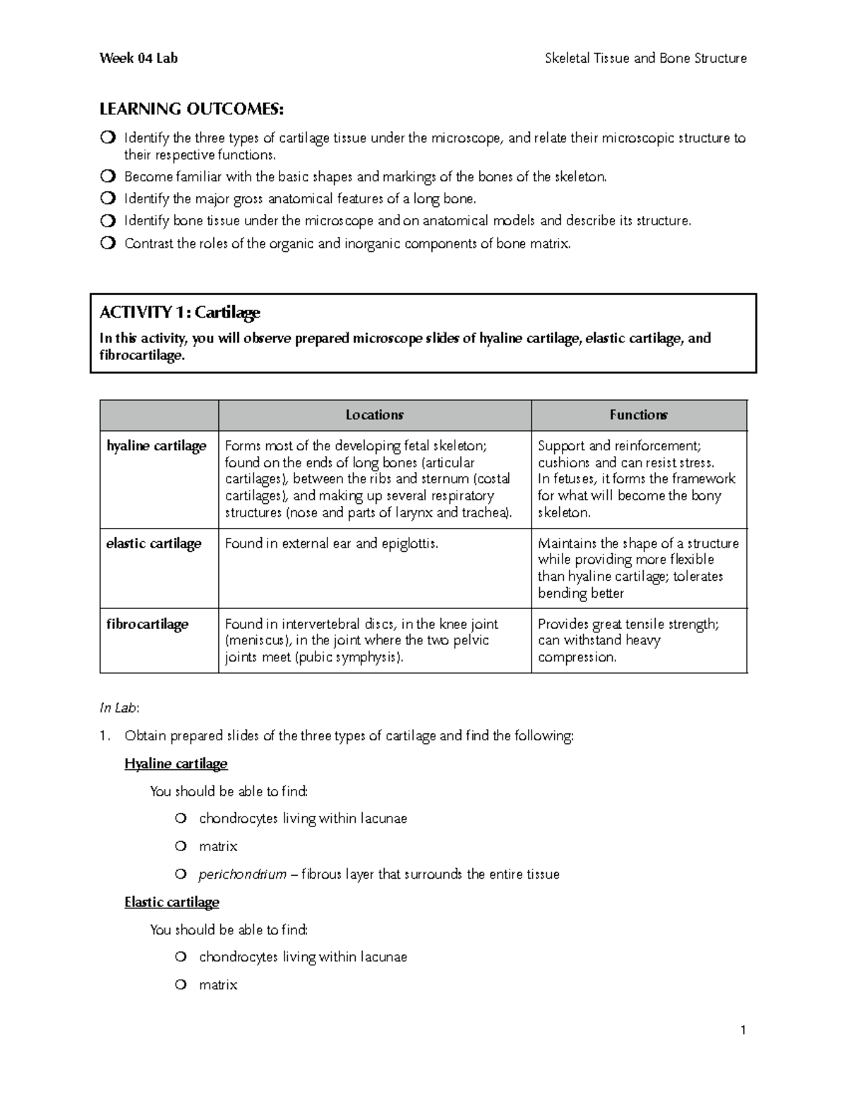 Lab 04 - Skeletal Tissues and Bone Markings - LEARNING OUTCOMES: Identify the three types of ...