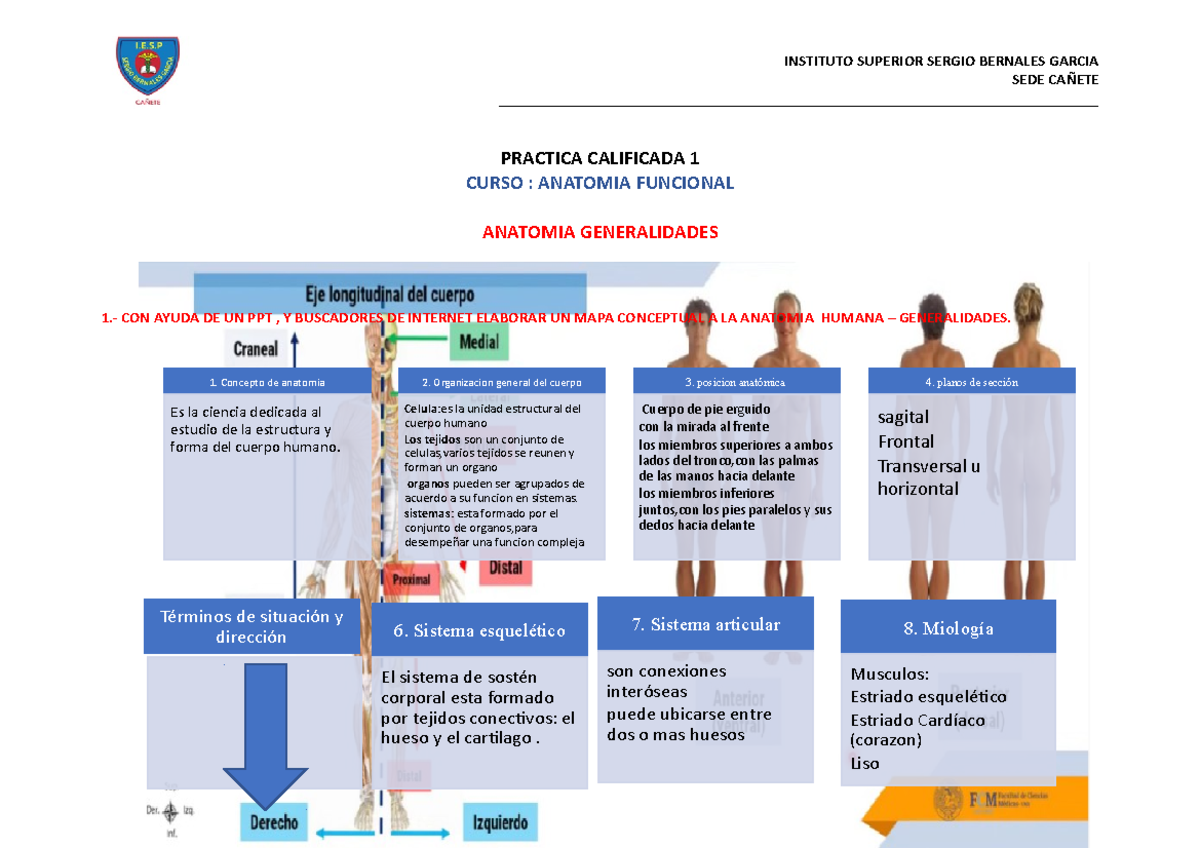 Practica Calificada N°1 Generalidades - 1. Concepto de anatomia Es la ciencia dedicada al ...