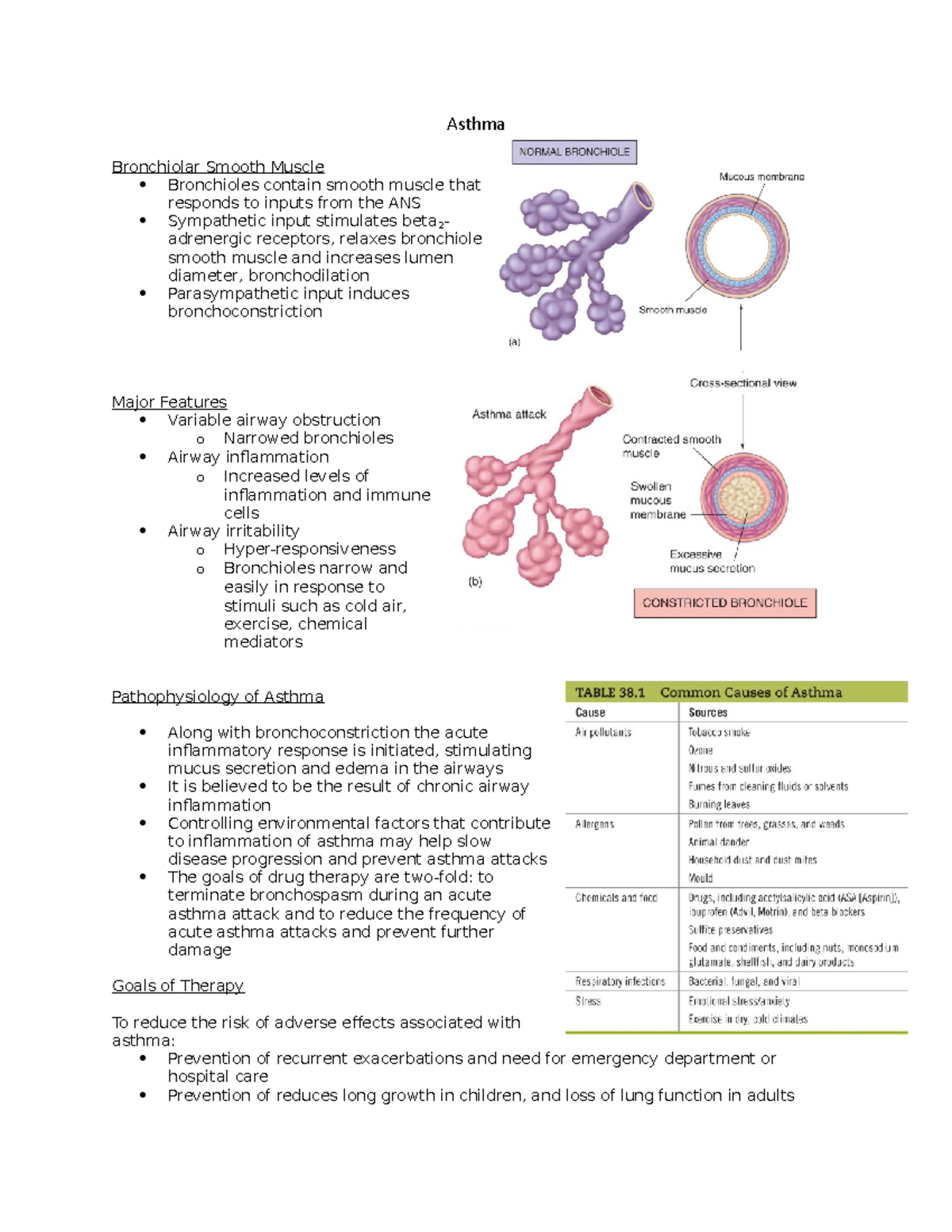 Asthma - Asthma Bronchiolar Smooth Muscle Bronchioles contain smooth ...
