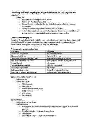 Bindweefsel - Bindweefsel Structuren die cellen met elkaar verbinden of ...