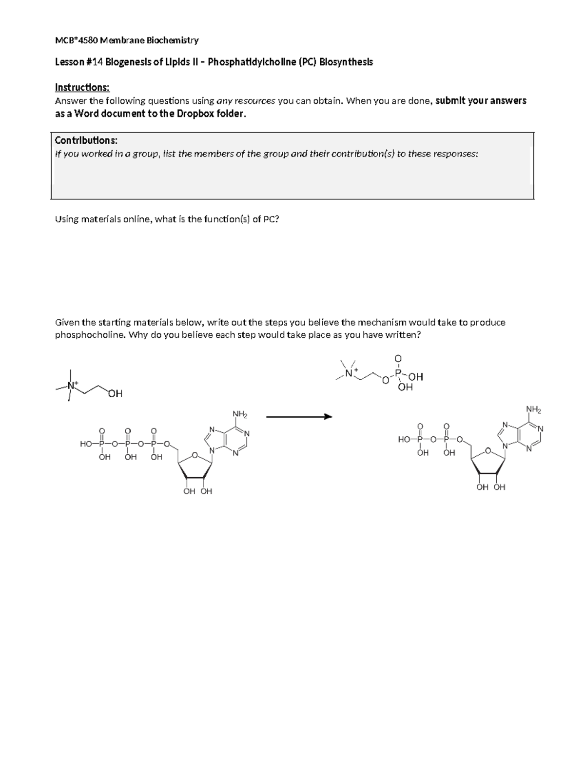 Lesson 14 PC-Biosynthesis- Worksheet - MCB*4580 Membrane Biochemistry ...