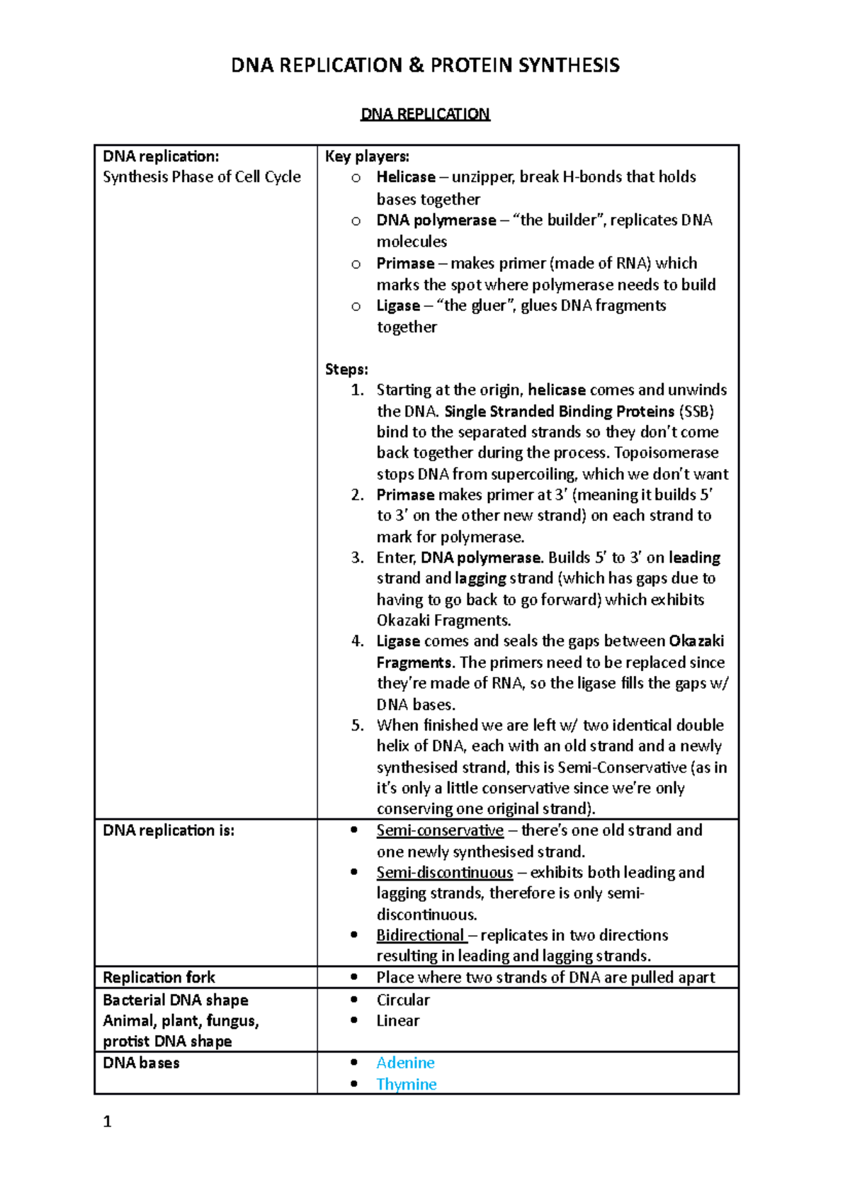 DNA replication protein synthesis - DNA REPLICATION DNA replication ...
