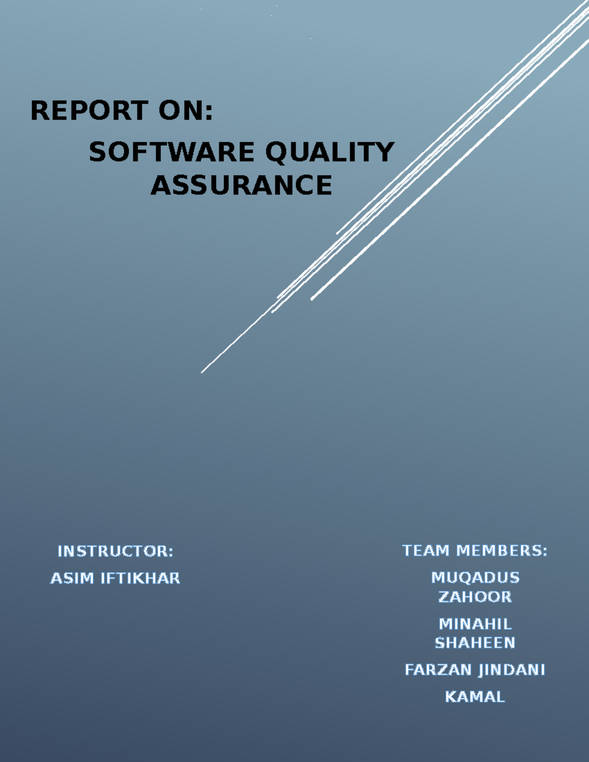 Software Quality Assurance Report - REPORT ON: SOFTWARE QUALITY ...