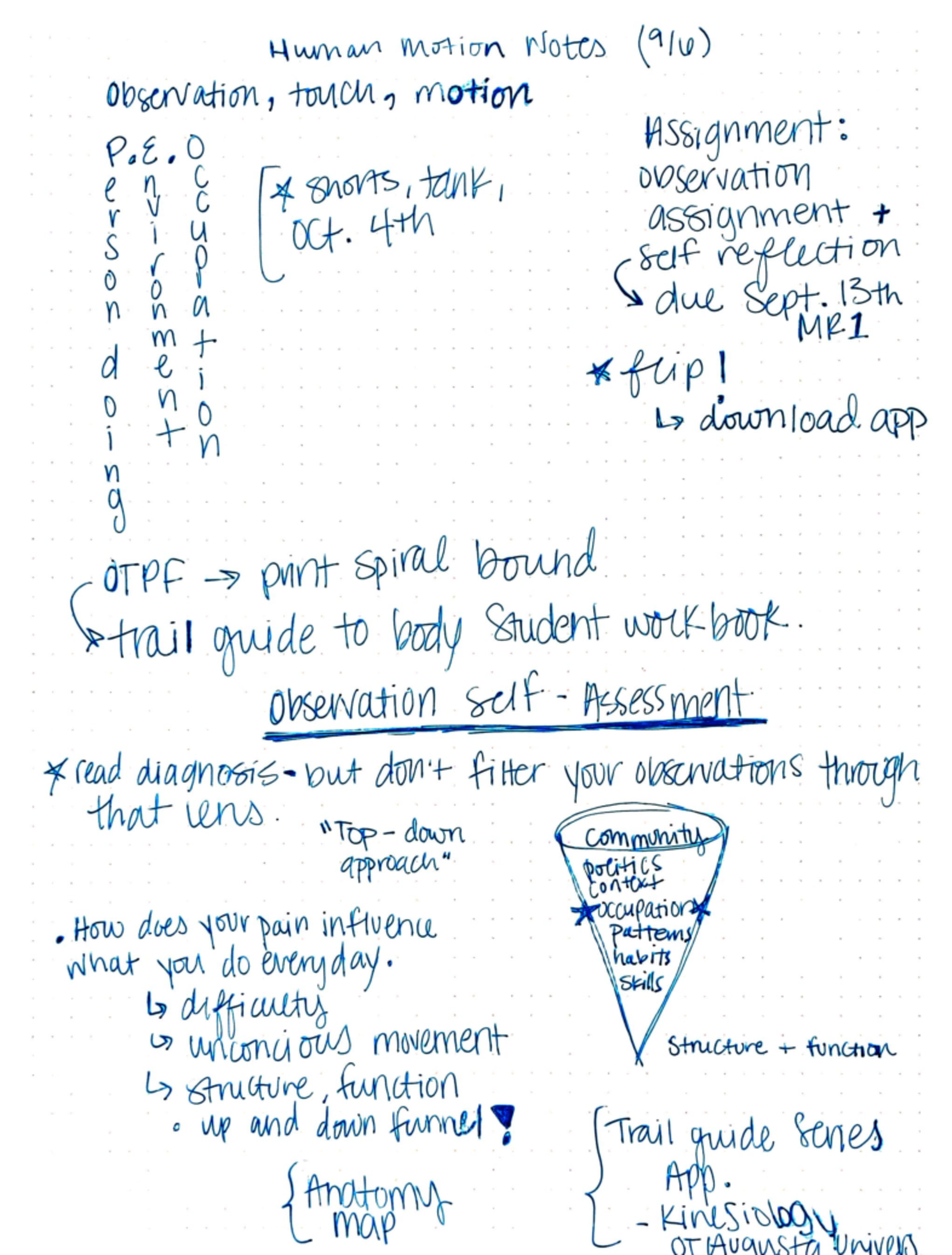 Human Motion (9 - Lecture notes (intro to kinesiology) - Observation ...