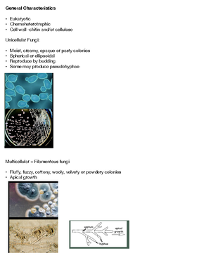 Med micro Lec 7 - Human pathogens 4 (bacteria) Enterobacteriacaeae ...