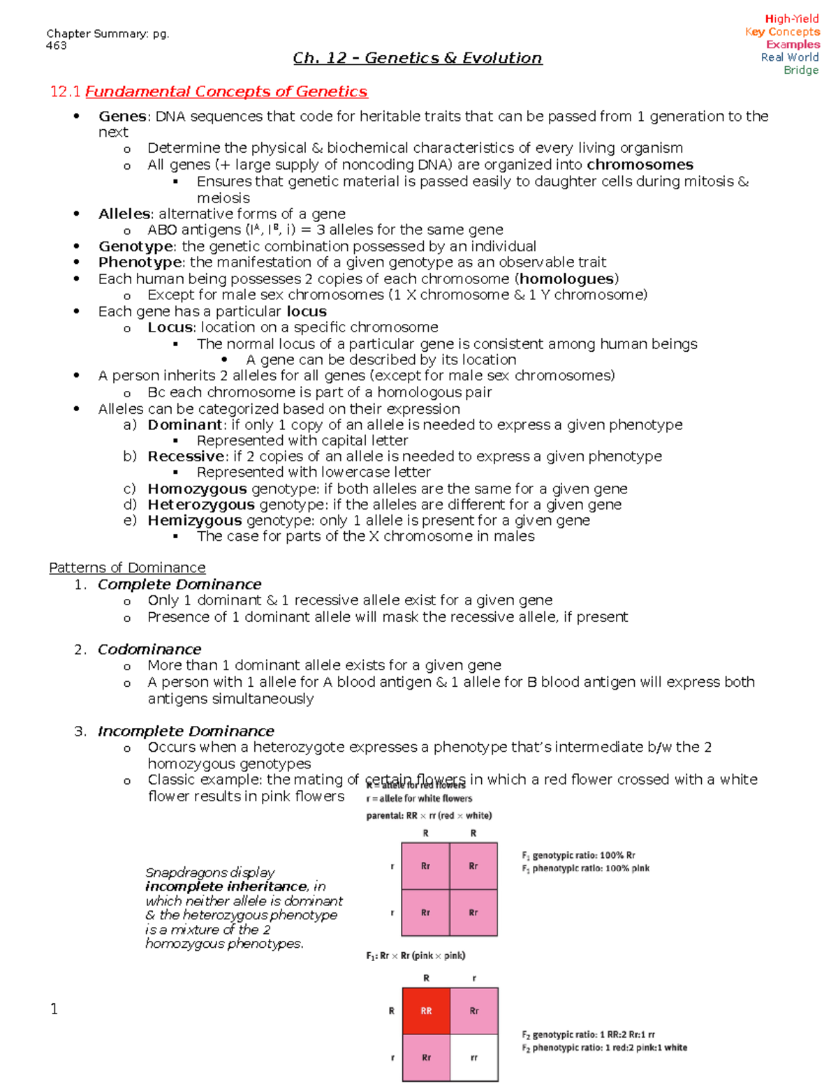 Genetics & Evolution - Ch. 12 – Genetics & Evolution 12 Fundamental ...