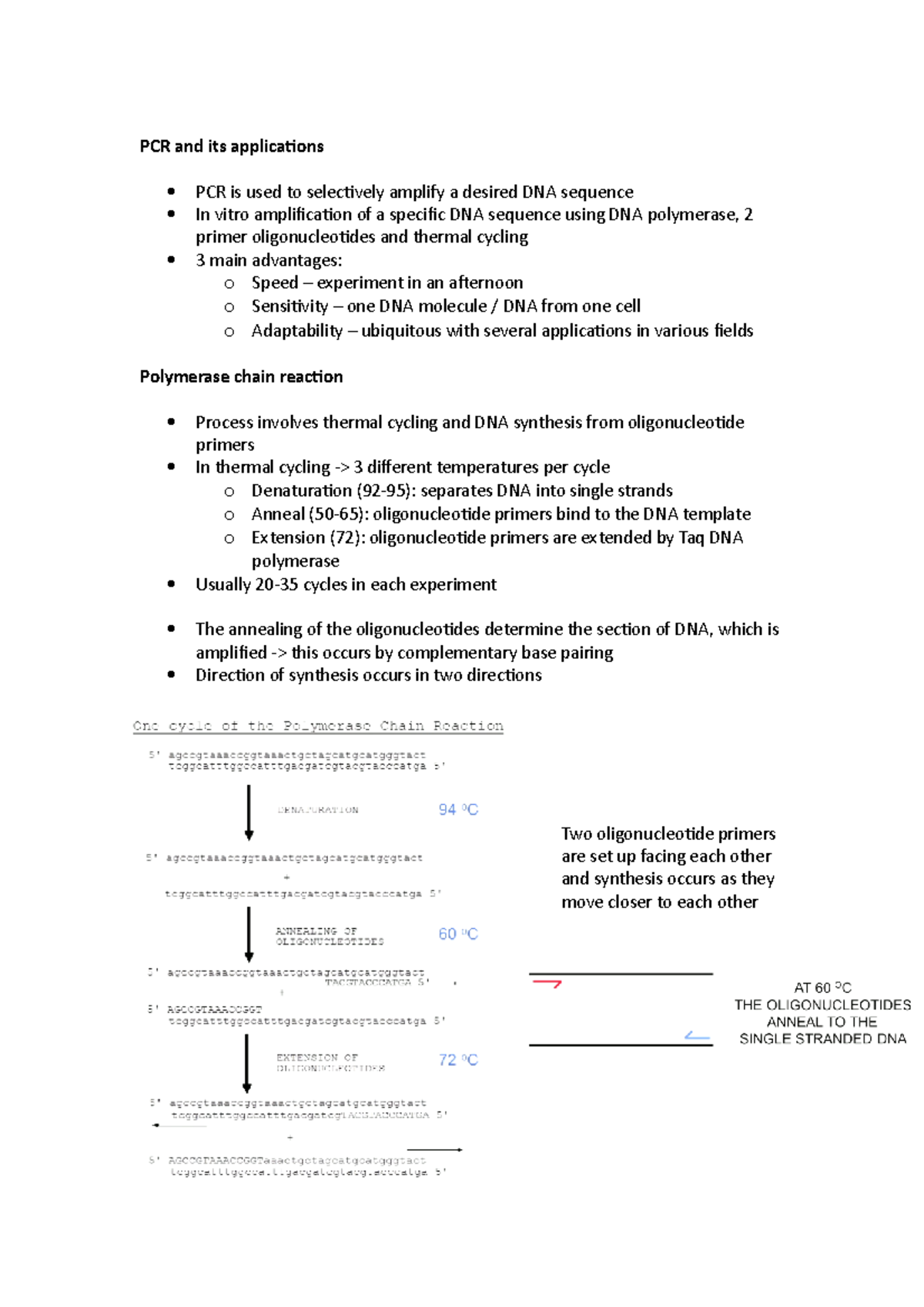 4 - PCR - Lecture by Vincent Murray - PCR and its applications PCR is ...