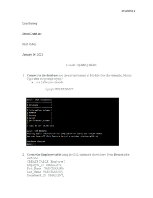 3-3 Major Activity Create a Database - Lisa Burney Intro to Struct ...