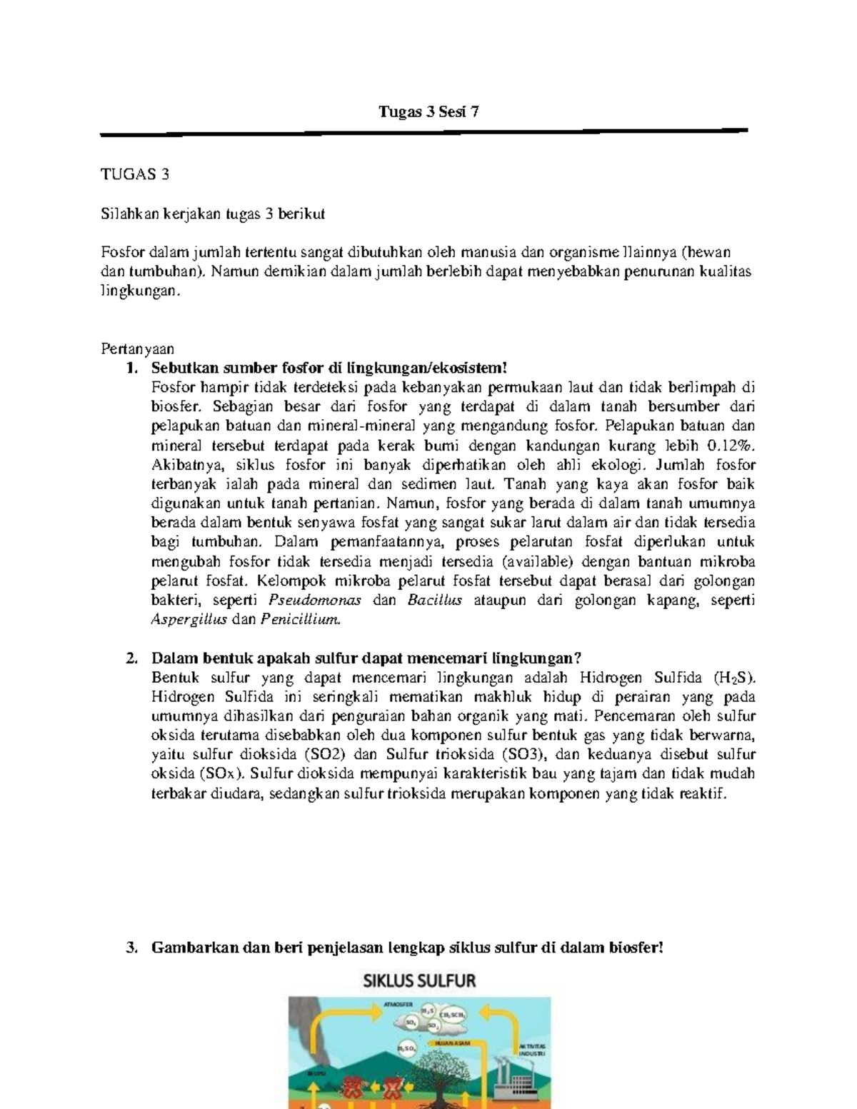 Tugas 3 Ekologi - Tugas 3 Sesi 7 TUGAS 3 Silahkan kerjakan tugas 3 berikut Fosfor dalam jumlah ...