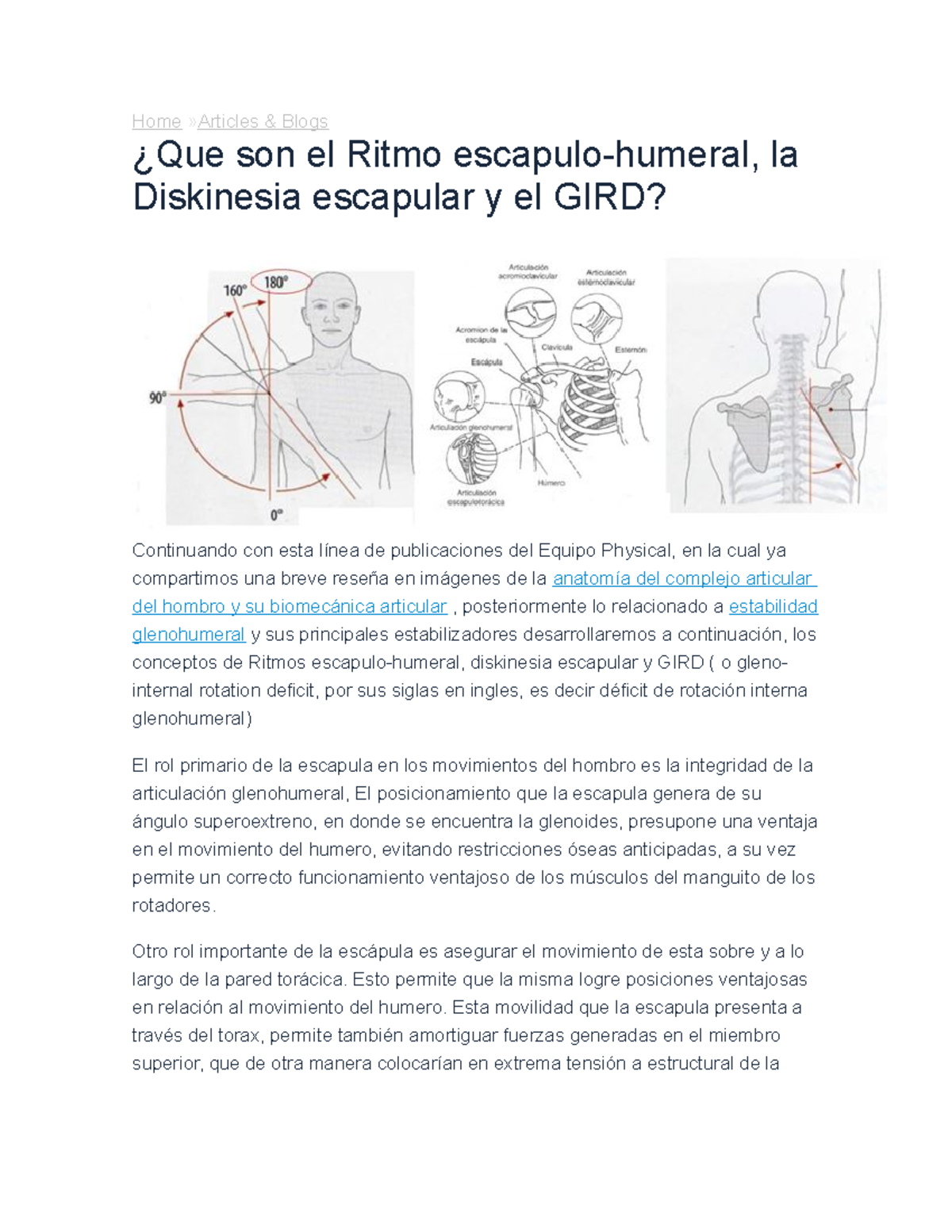 Ritmo Escapulohumeral - Otro rol importante de la escápula es asegurar ...